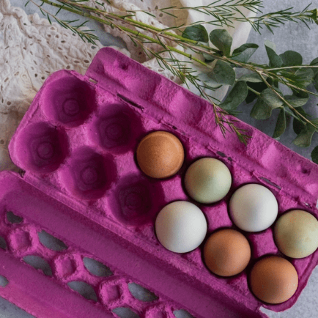 How to Create an Efficient Egg Packing System - The Egg Carton Store Blog