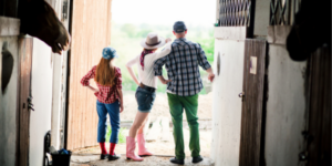 250 Farm Name Ideas for New Farms: The Ultimate Guide - The Egg Carton ...